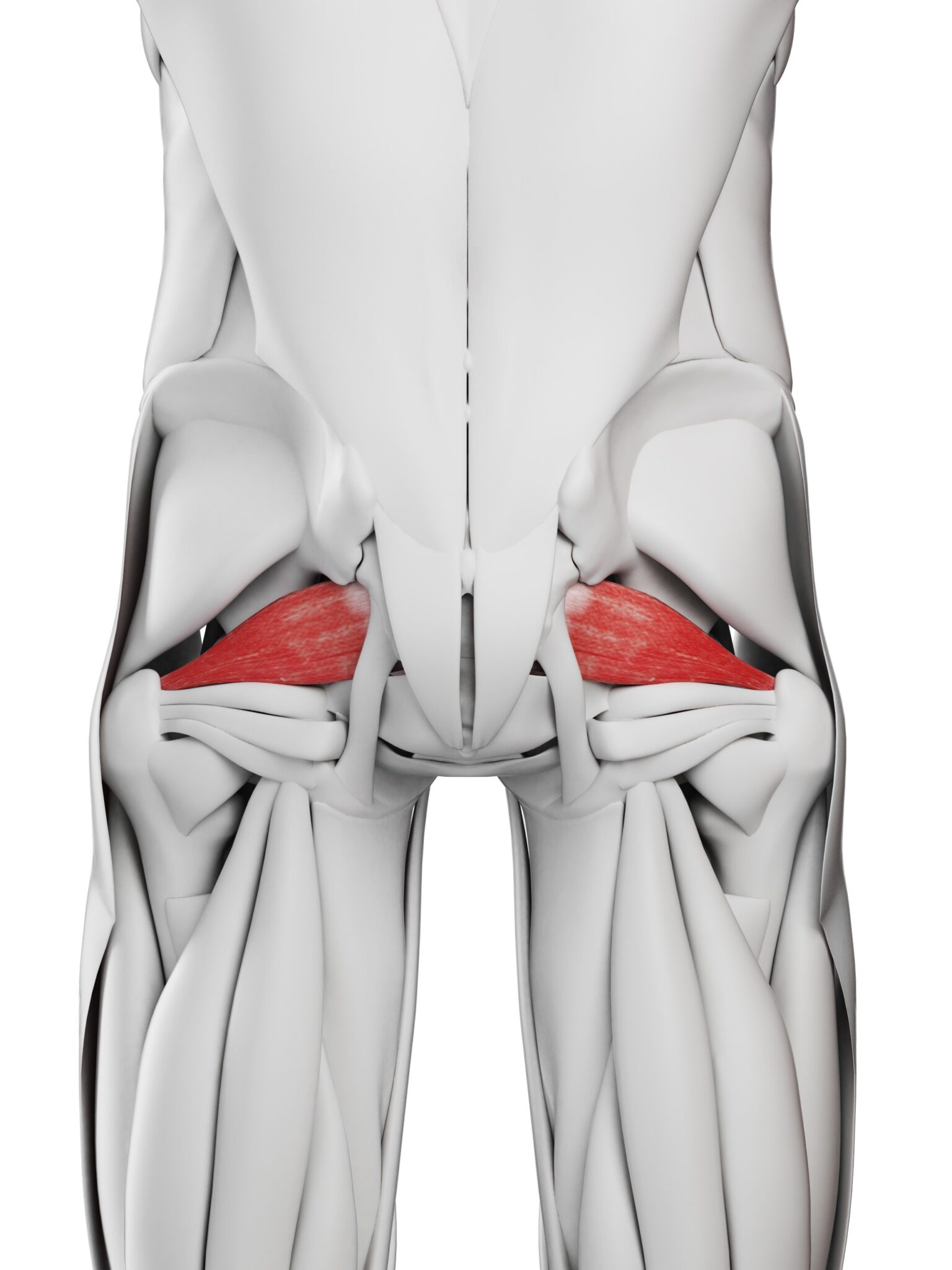 Piriformis Syndrome - Chiropractor